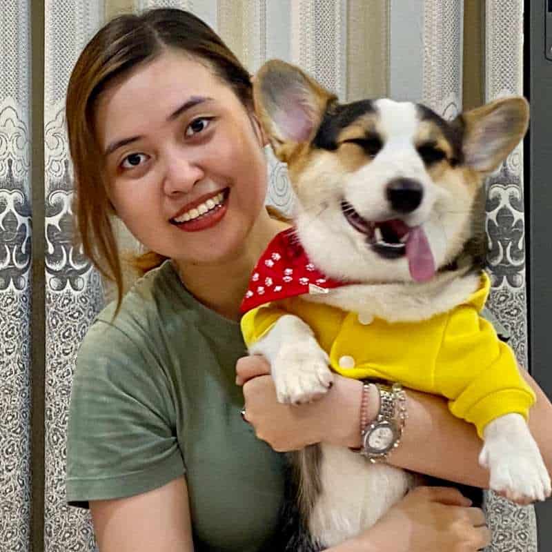 About Us - Corgi Care