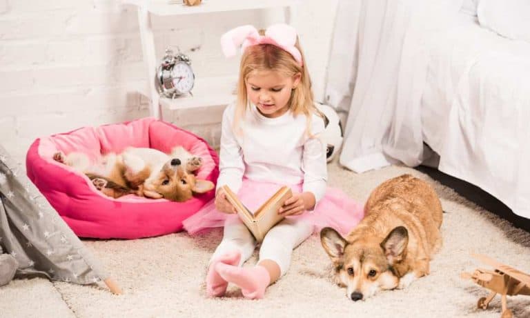 Books About Corgis: Best Books For Corgi Owners - Corgi Care